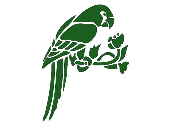 Parrot Print Stencil - Growth Mitra - An Art Store